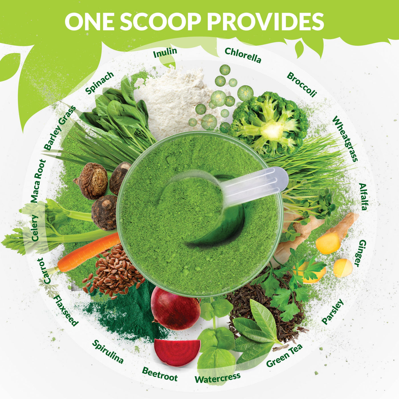Ultimate Greens Blend Powder - 17 Organic Ingredients for Health, Vita ...